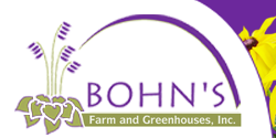 Bohn's Farm
